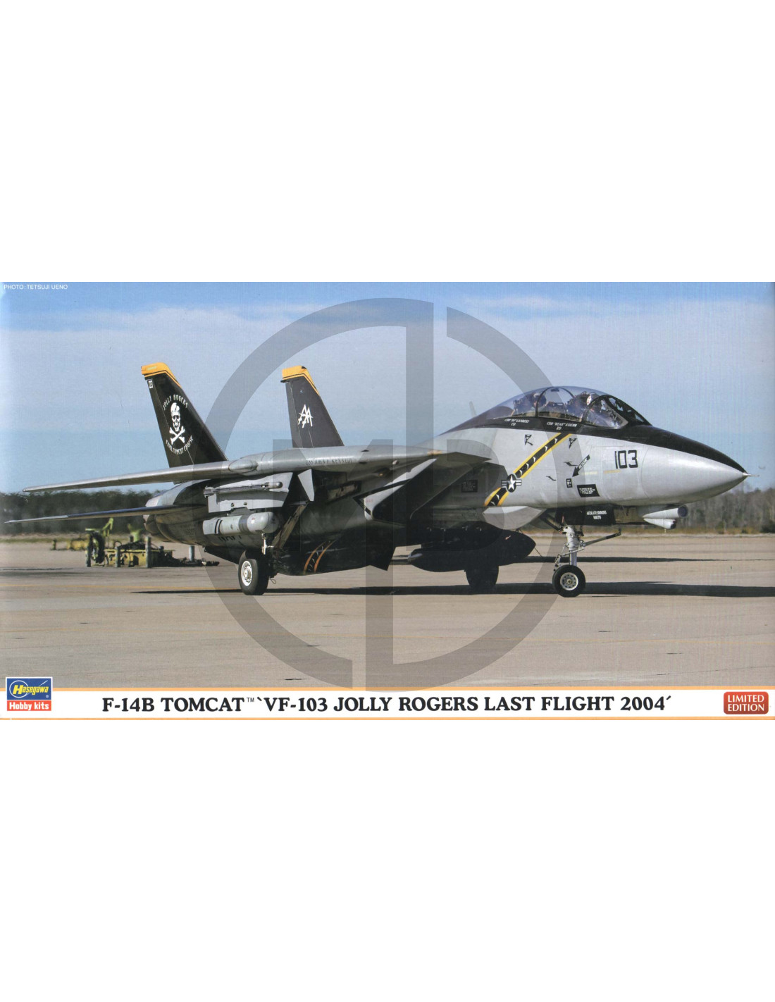 F-14B Tomcat VF-103 Jolly Rogers Last Flight 2004